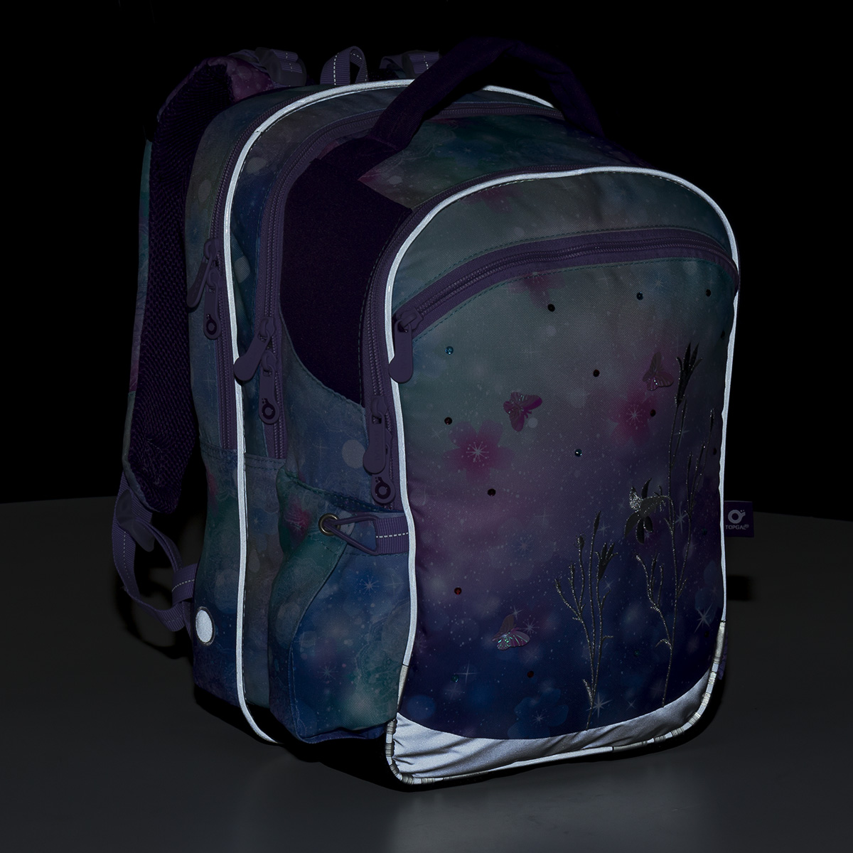 Dívčí školní batoh 1. - 5. třída COCO 18044 G, Topgal : Kožené zboží ...